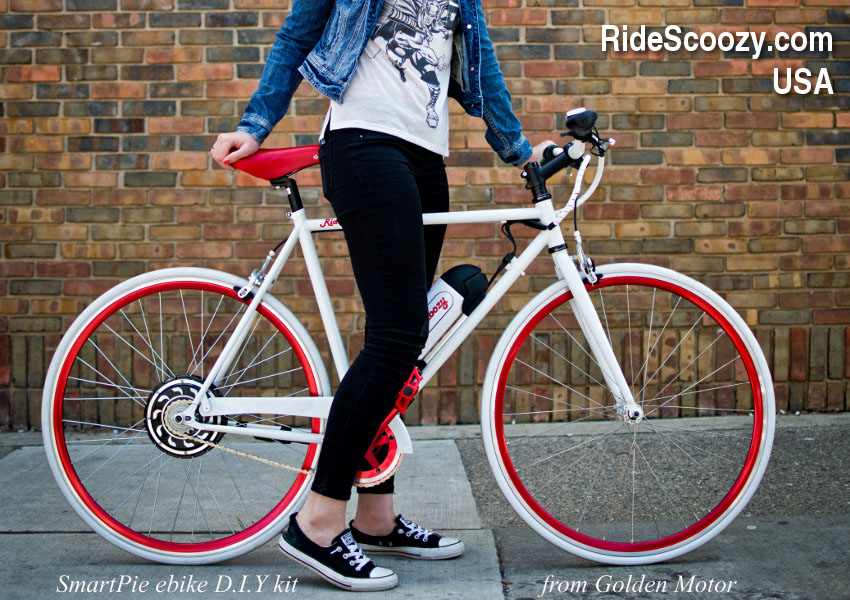 hub motor, brushless motor, BLDC motor, bike conversion kit, brushless ...